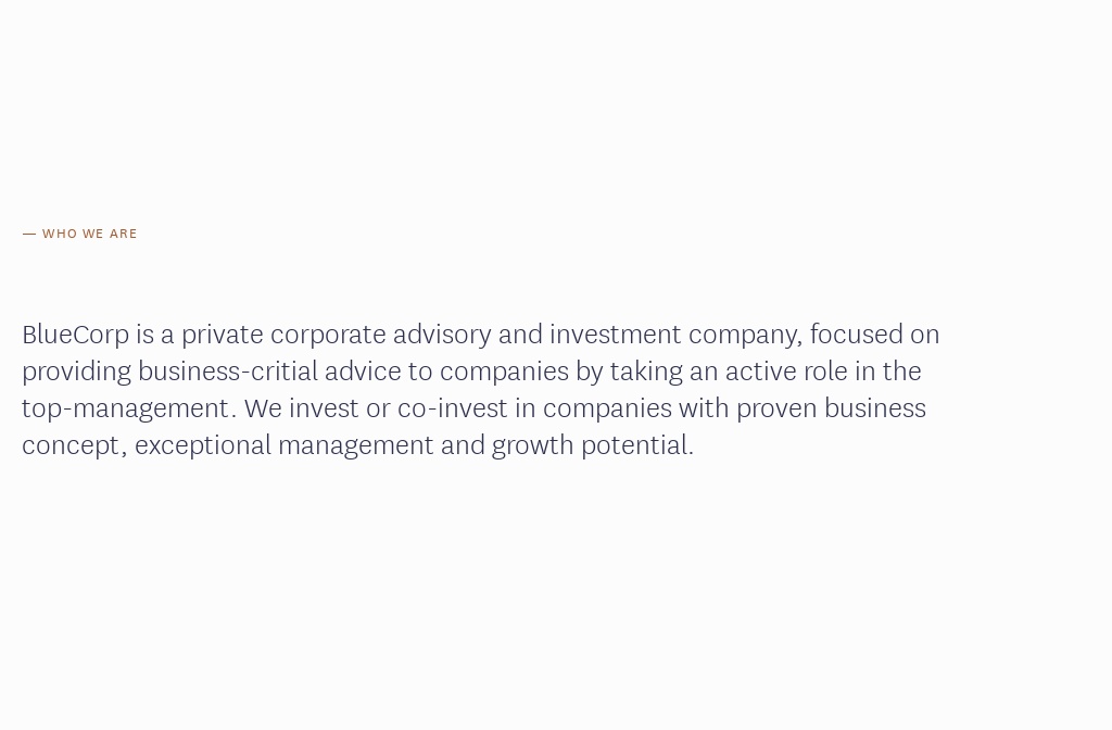 Bluecorp | Corporate Finance Firm — Company