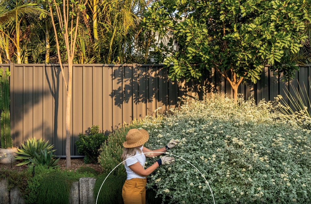 THE FENCE - JUNE 2025 — COLORBOND® steel fencing