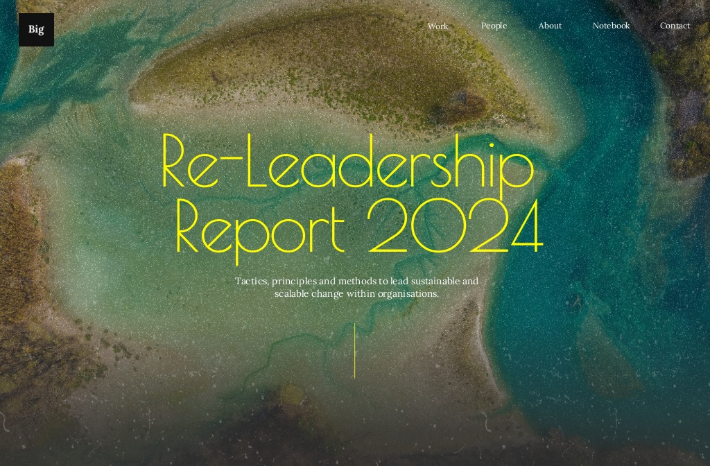 Re-Leadership Report 2024
