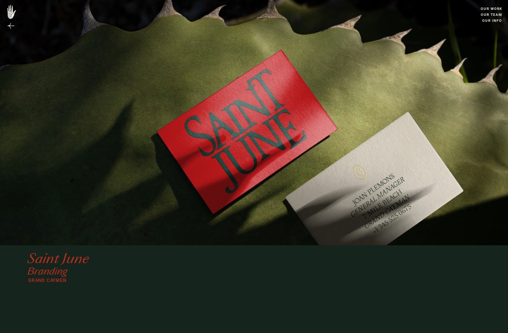 Project Page — Saint June