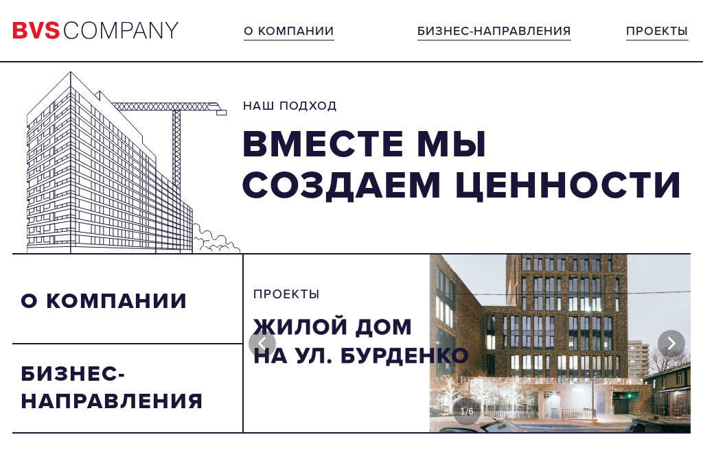 BVS Company