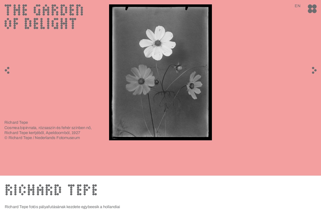 THE GARDEN OF DELIGHT — RICHARD TEPE