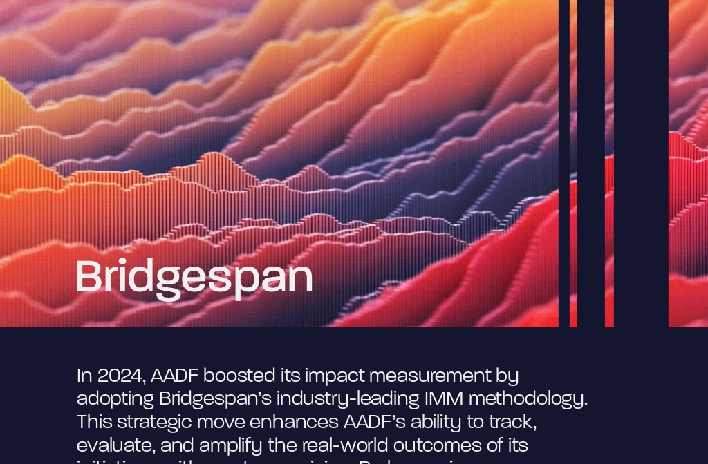 AADF 2024 — Bridgespan