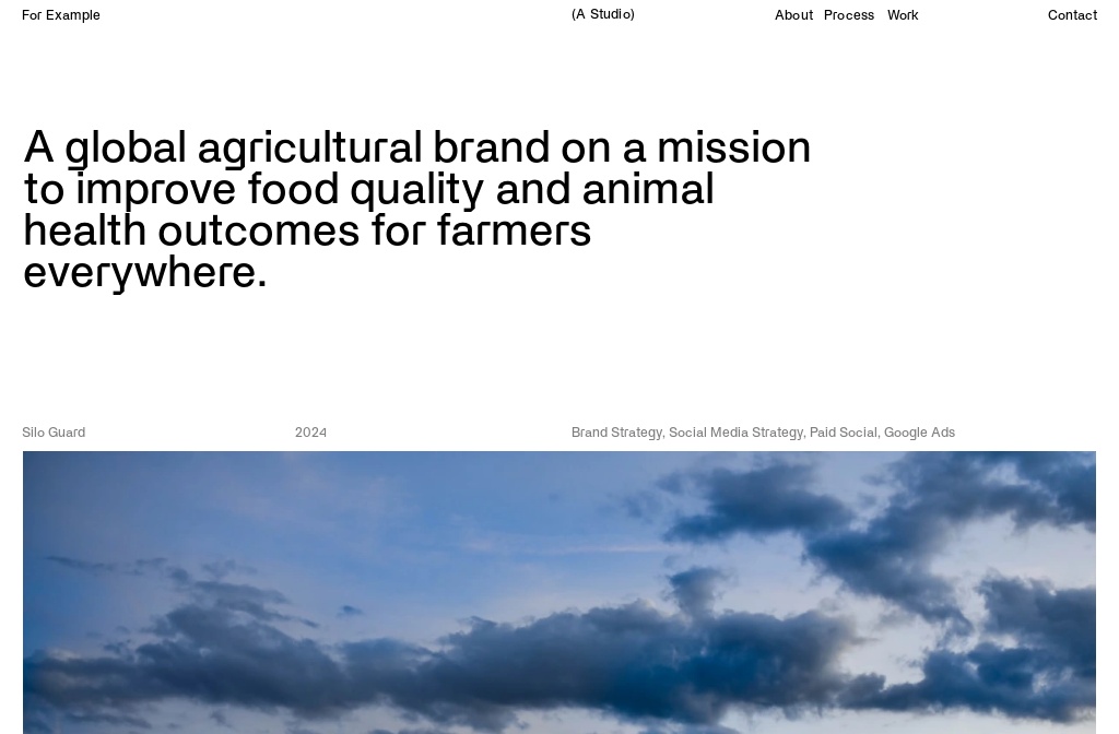 For Example Studio | Projects | Silo Guard