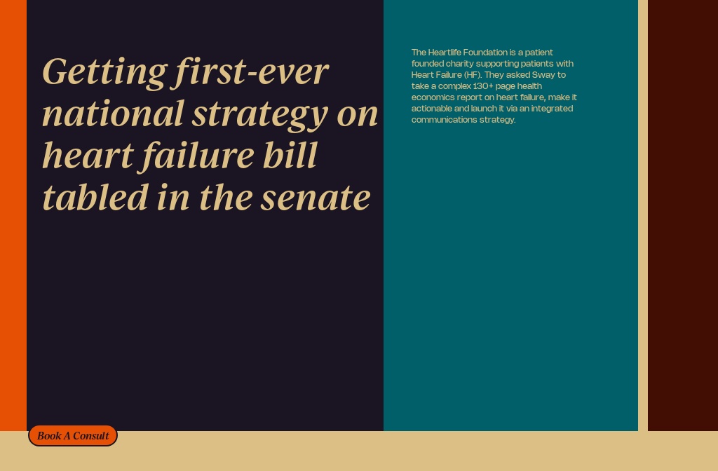 Sway Strat — Case Study: HeartLife Foundation