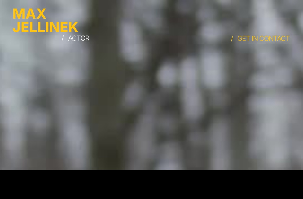 Max Jellinek