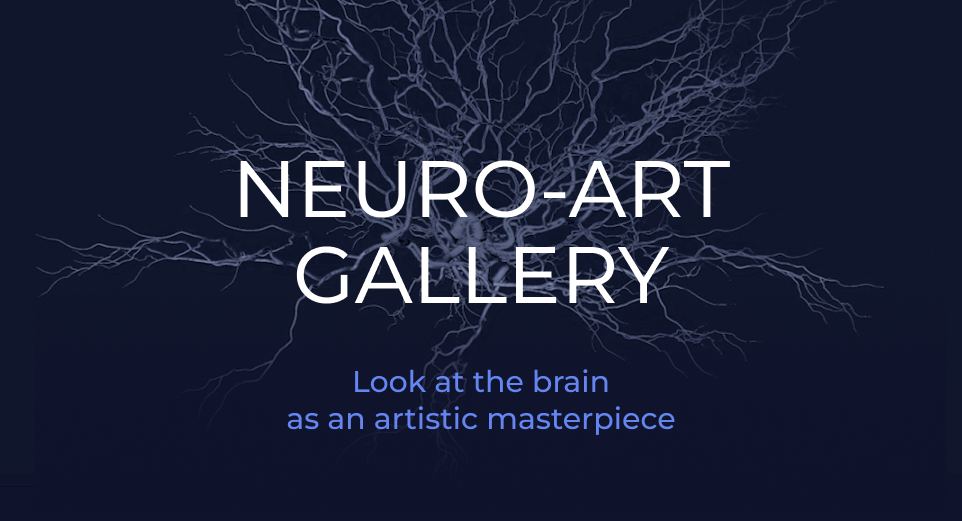 Neuro-art gallery — Rhythms of the brain