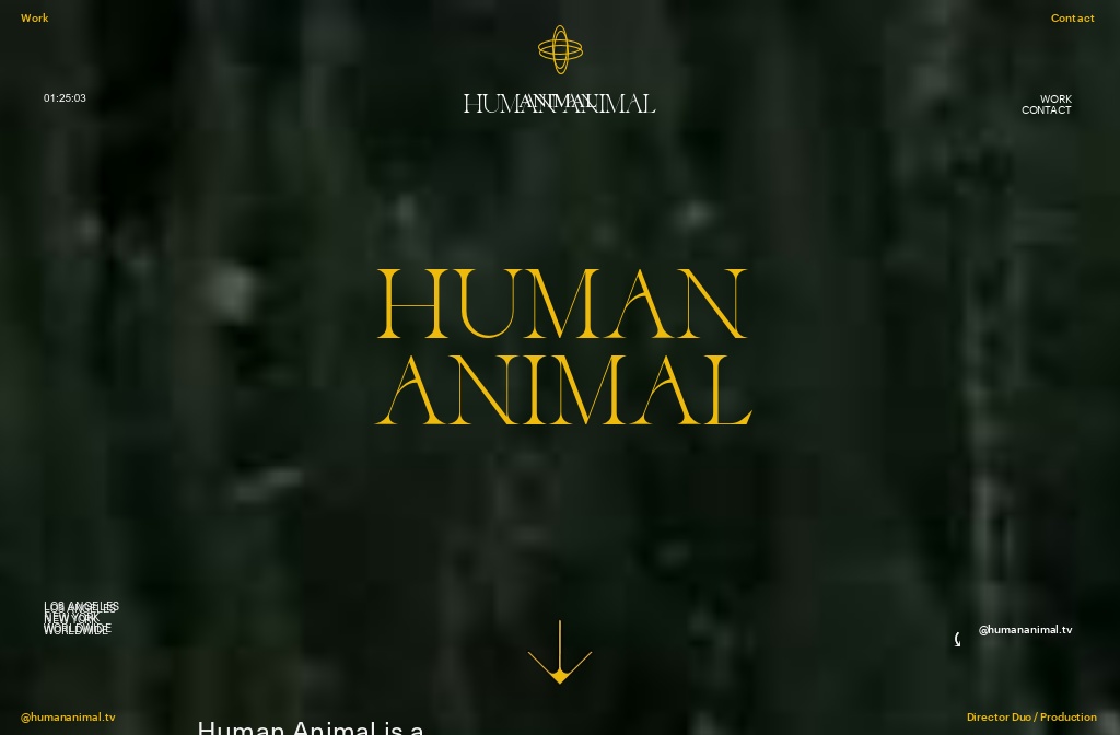 Human Animal