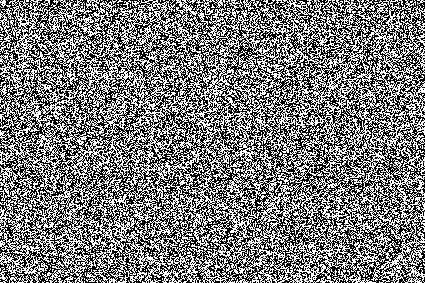 Panda & Sons — TRANSCEND