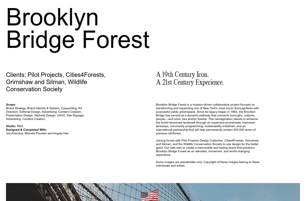 Tom Hayes Studio — Brooklyn Bridge Forest