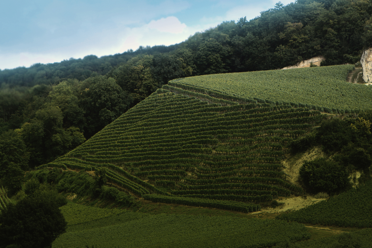 Limited collection of champagne Victoire de la Dignite | Victory of ...