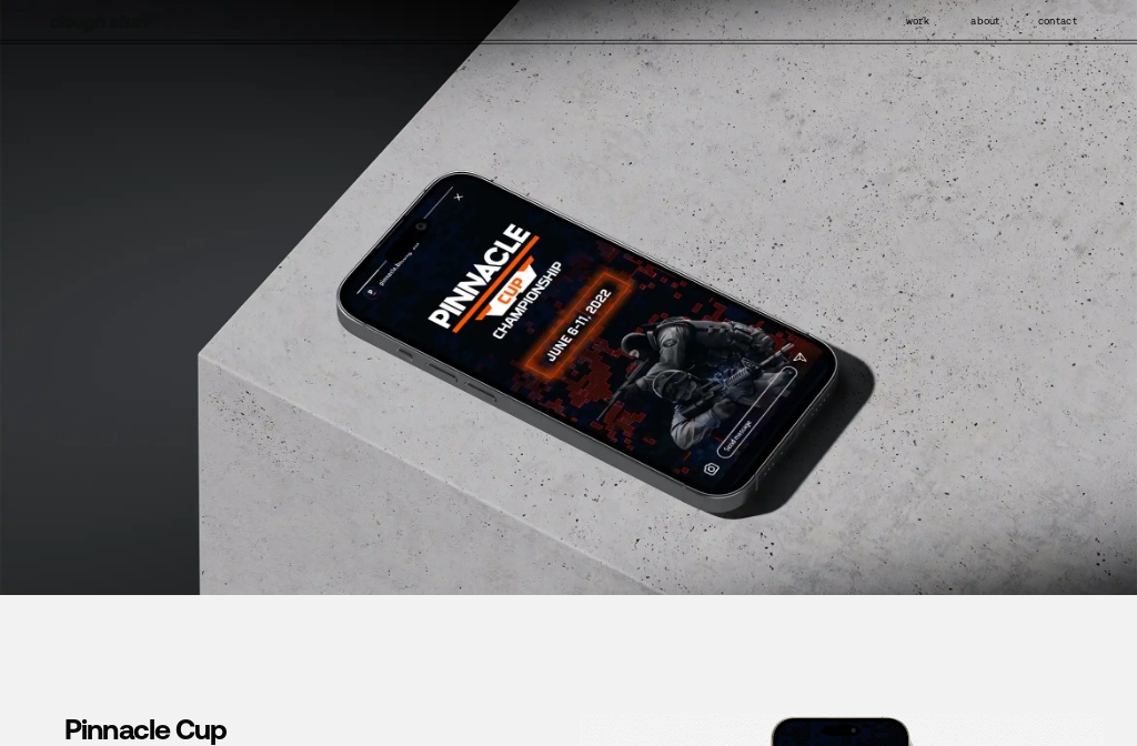 Homepage — Pinnacle