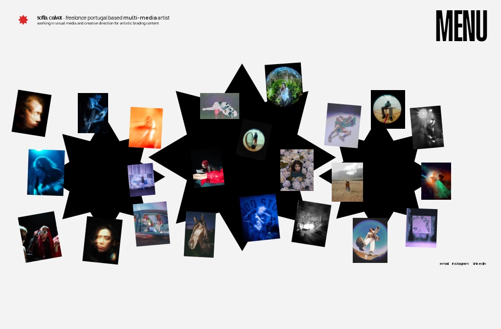 Portfolio . Sofia Calvet