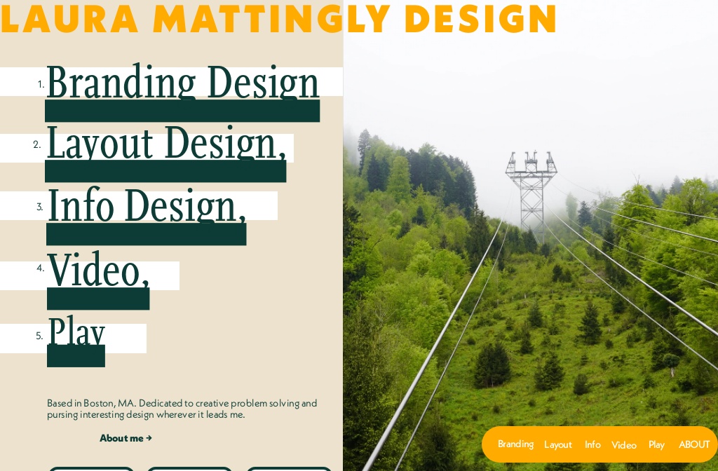 Laura Mattingly Portfolio