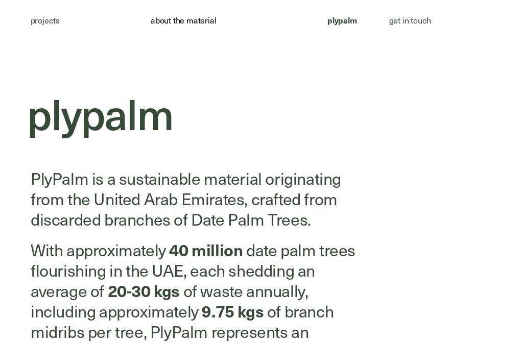 PlyPalm — About the Studio