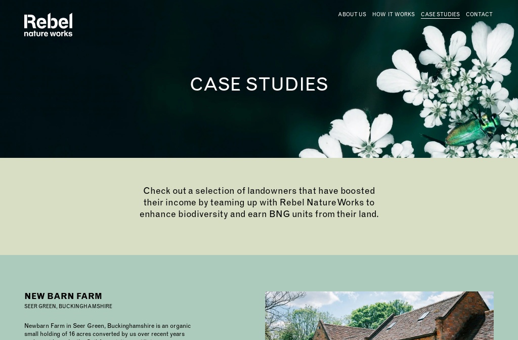 Rebel Nature Works — Case studies