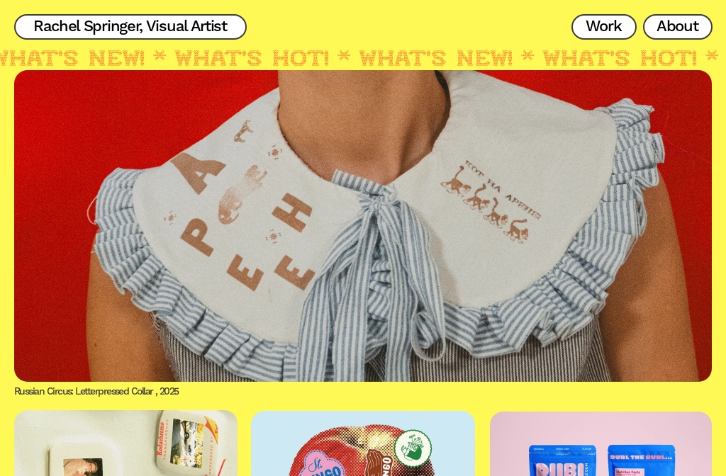 Rachel Springer, Visual Artist