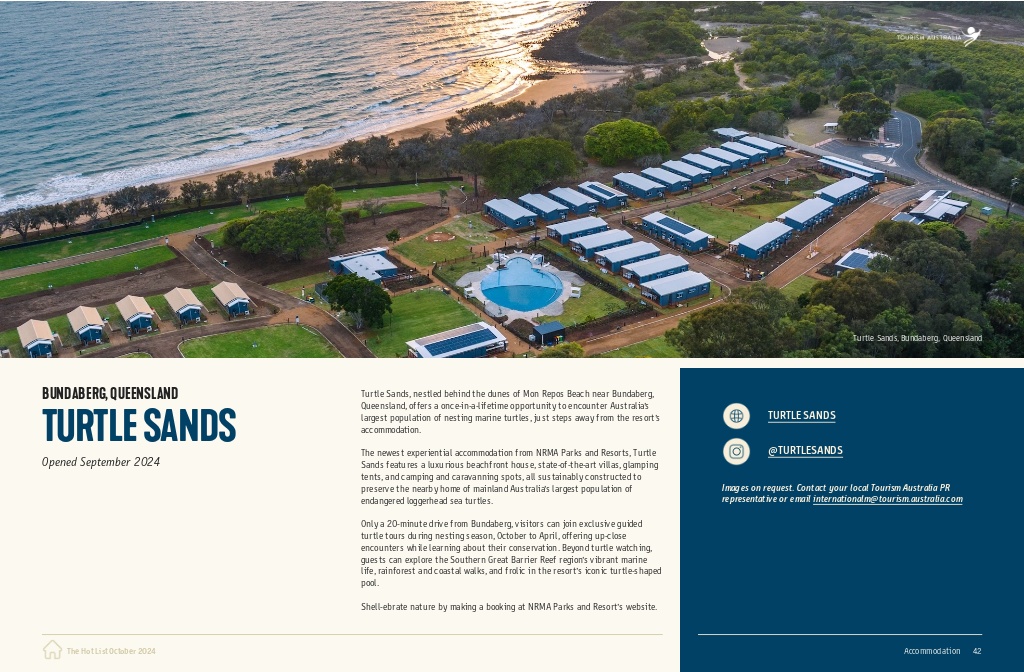 The Hot List - Oct 2024 — Turtle Sands