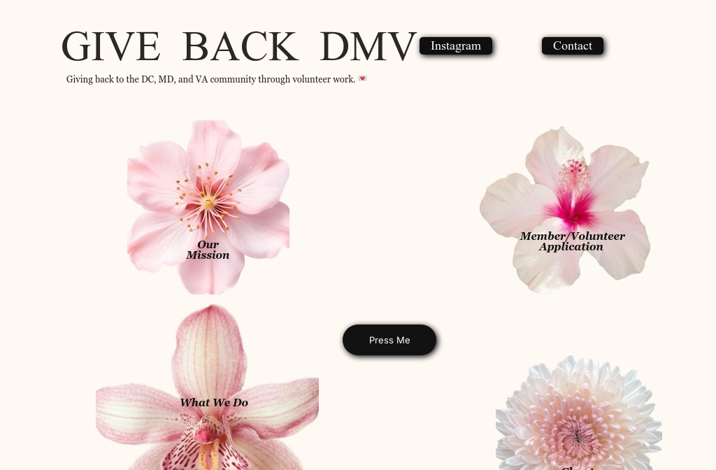 Give Back DMV