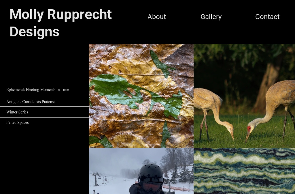 mollyrupprechtdesigns