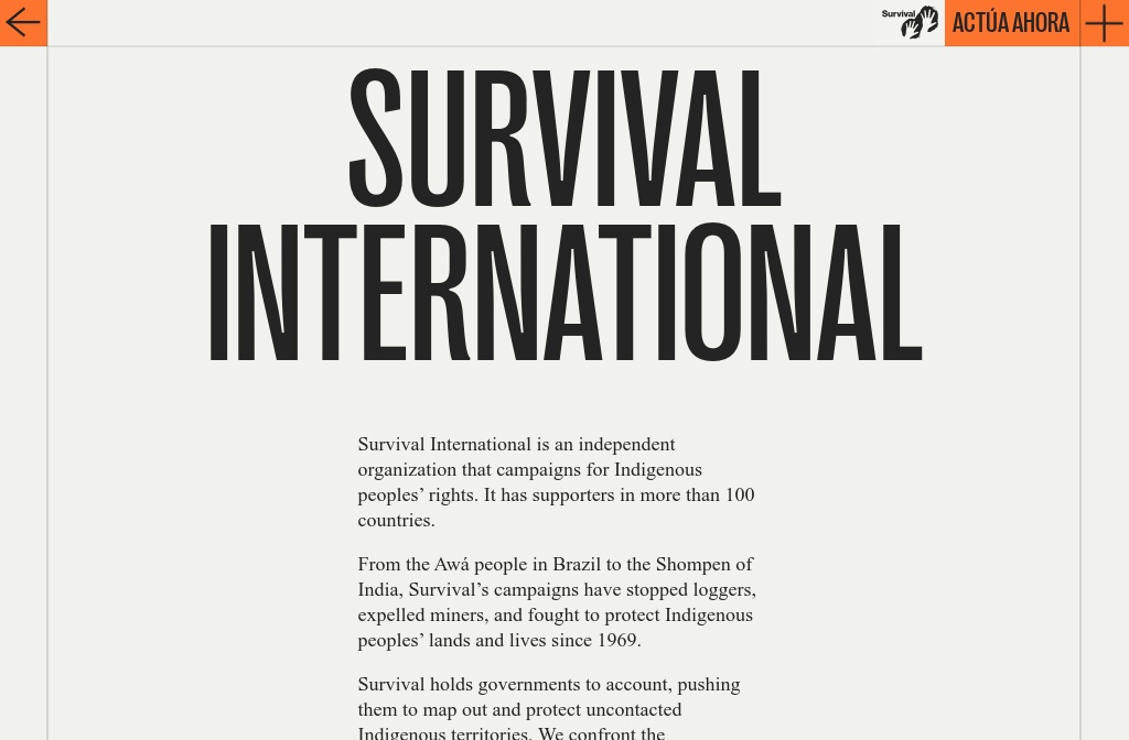 Resistir para existir: la lucha global de los pueblos indígenas en ...